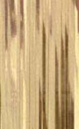 Slit Drape (Slash Curtain) Gold, Viking Lighting